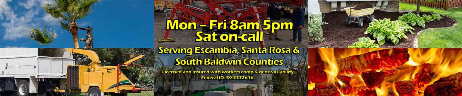 A Sterling Tree Service - Pensacola, Florida - Sterling Tree Service